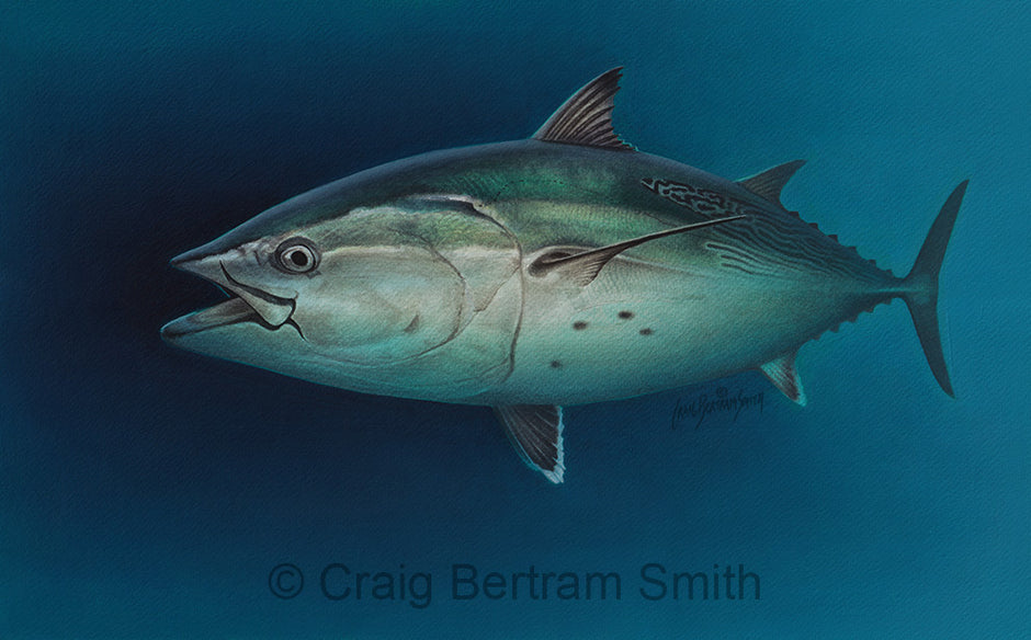 Original Art – Craig Bertram Smith