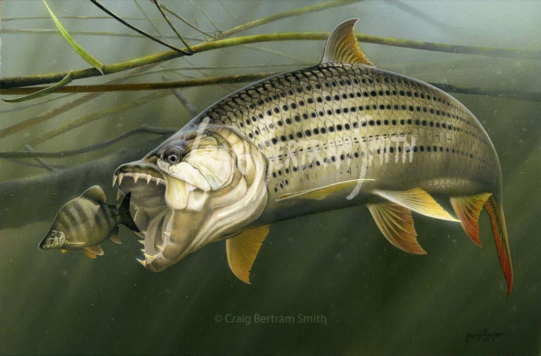 Original Art – Page 2 – Craig Bertram Smith